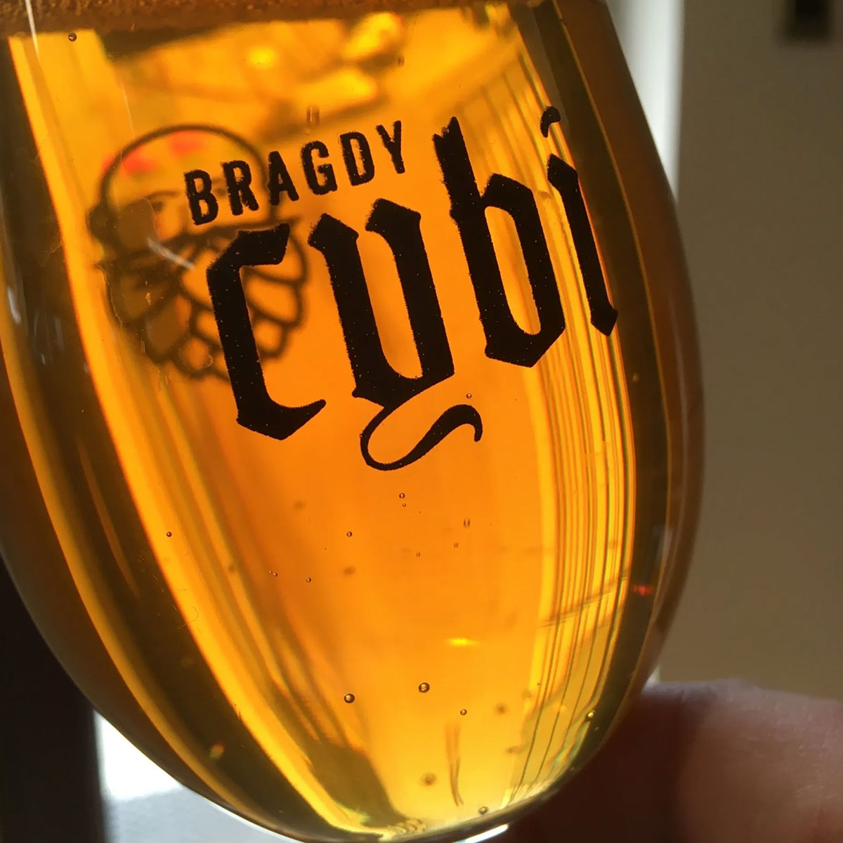 Gwydrau / Glasses – Bragdy Cybi