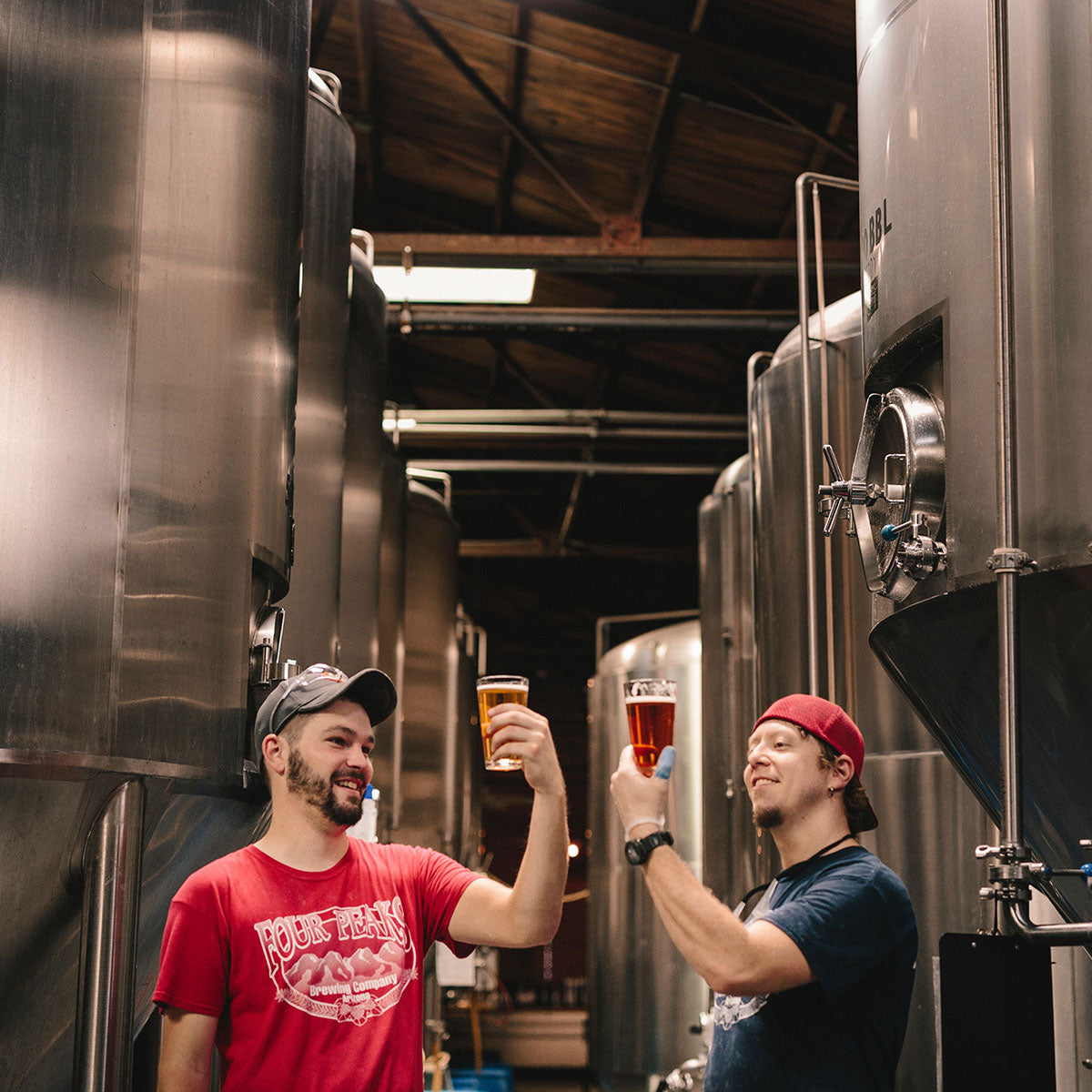 Profiadau / Experiences – Bragdy Cybi